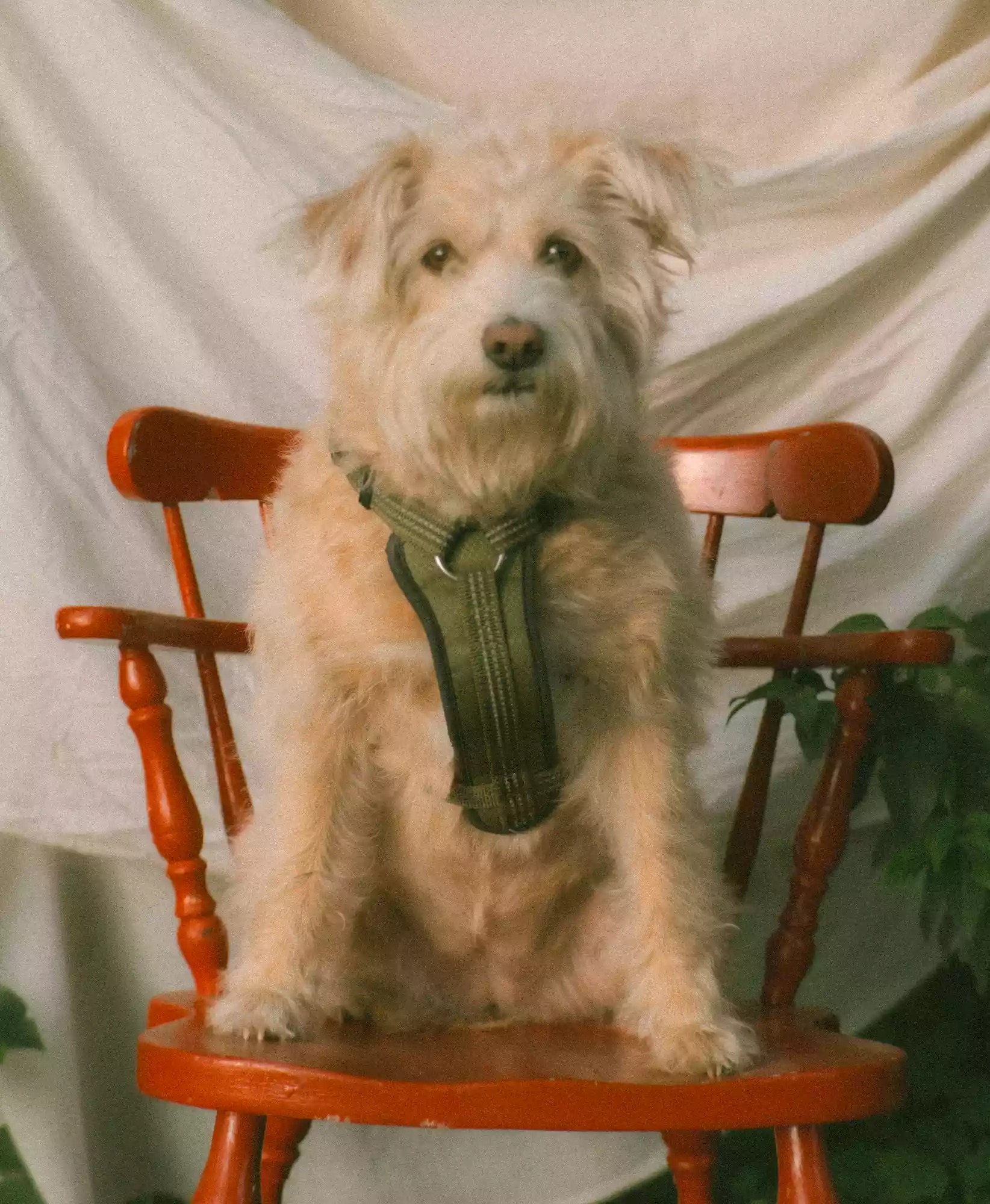 How a Free Photo Session Turned into a Viral Love Letter to a Man and ...