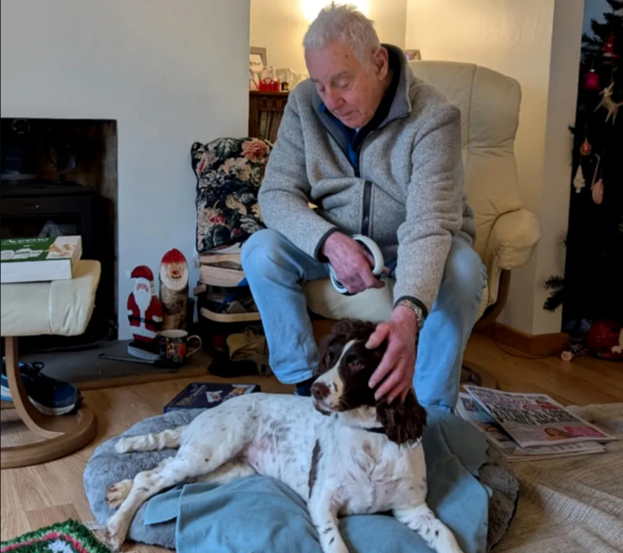 After A Devastating Injury Ended Her K9 Career, Red The Spaniel Found ...
